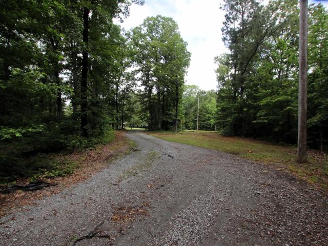 1153 Wilma Sue Lane