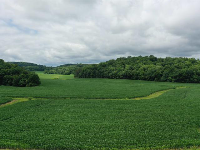 115.76 Acres State Road 60 & Hwy B Road