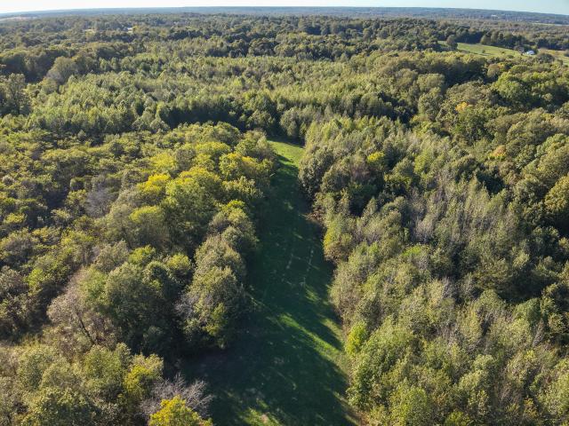 115 County Road 1039