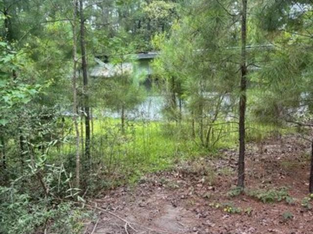 115 County Road 482, Broaddus, TX 75929