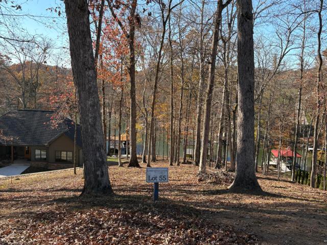 115 Cozy Cove Way