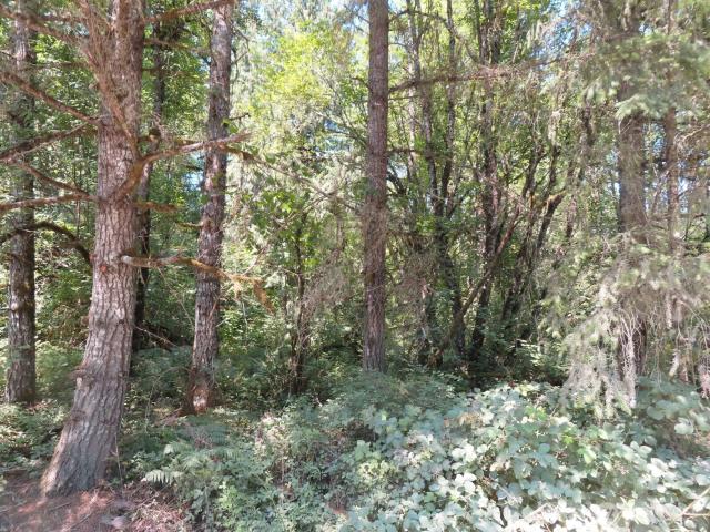 115 Campground Lane