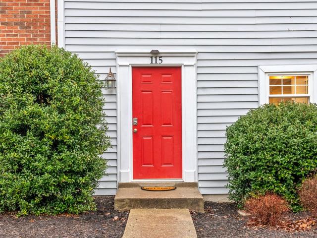 115 Carriage Pl