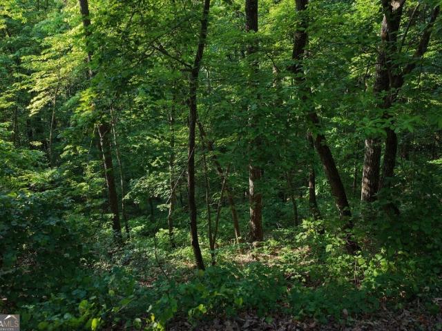 115 Carters Overlook