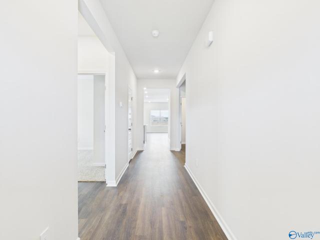 115 Betty Williams Drive