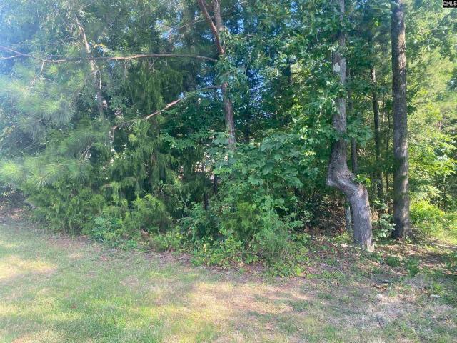 115 Beacon Point Road Lot 33