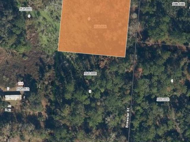115 Brewster St, Satsuma, FL 32189