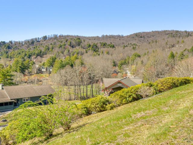 115 Broadmoor Lane