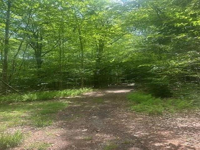115 Deer Path Ln, Bridgewater, NH 03222