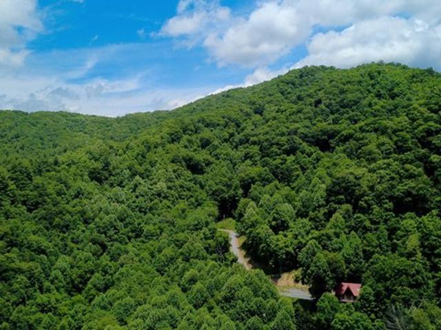 115 Deer Run Dr, Flag Pond, TN 37657