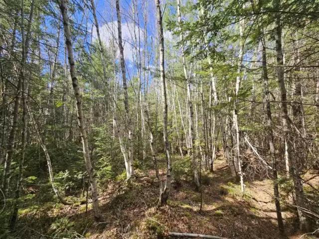 115 ENTERPRISE WAY, LAGRANGE, ME 04453 Vacant Land For Sale M.