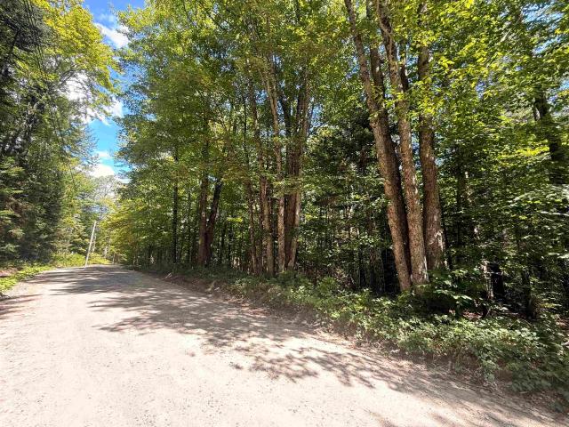 115 Forbes Mountain Road # 3
