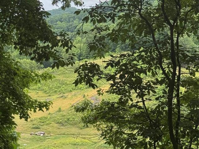 115 Knoll Ridge Lane