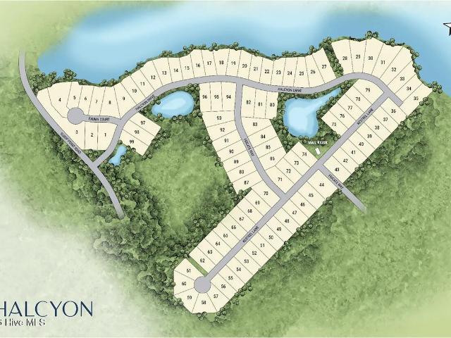 115 Halcyon Drive