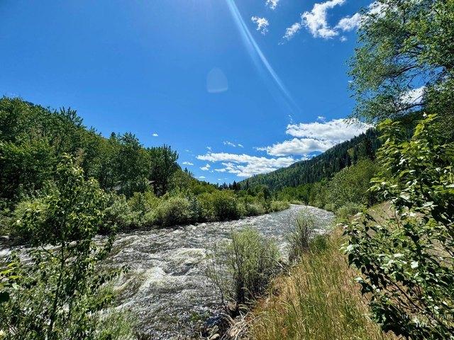 115 Helm Ln, Pollock, ID 83547
