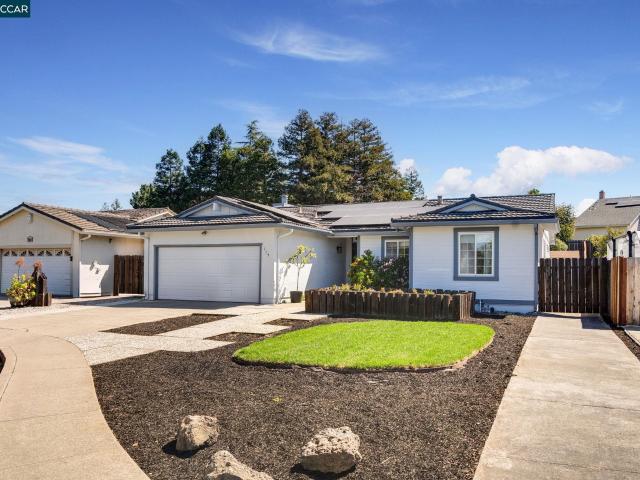 115 Olive Ct