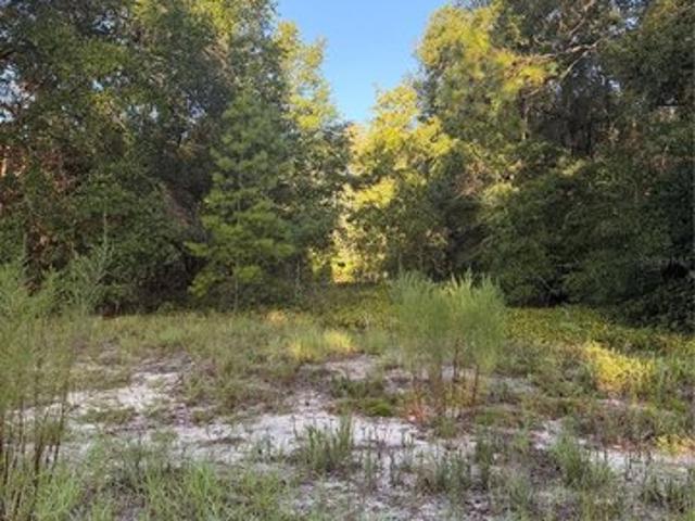 115 Orange Tree Ct, Melrose, FL 32666