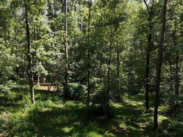 115 LOT 101/ PA Shoal Creek Dr