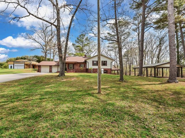 115 Mostly Locust Dr