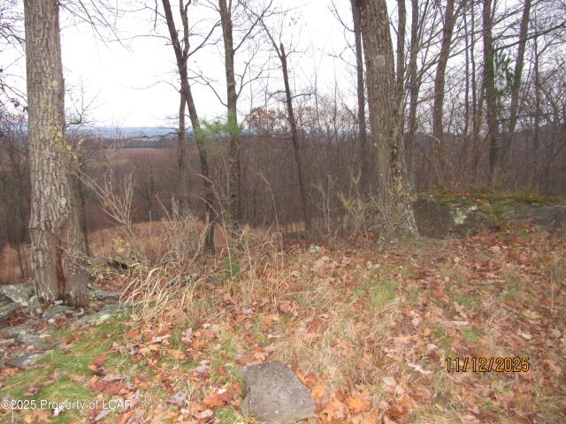 115 Manorview Drive