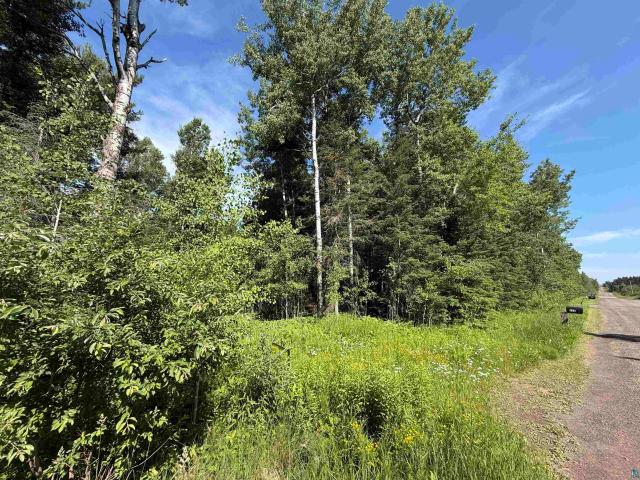 115 Marks Rd, Esko, MN 55733 | MLS #6124