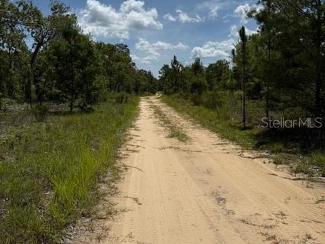 115 S Dakota St, Hawthorne, FL 32640 | MLS #OM706618