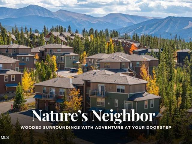 115 Spinner St Unit 1, Fraser, CO 80442
