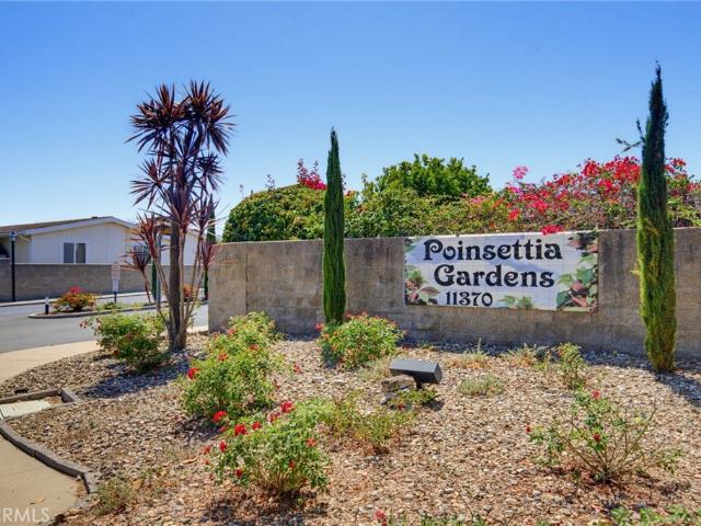 115 Poinsettia Gardens Drive 115