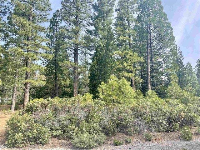 115 Red River Dr Lot 78, Lake Almanor, CA 96137