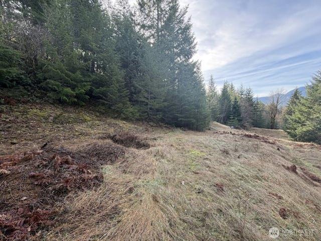 115 Ridge Ln, Packwood, WA 98361