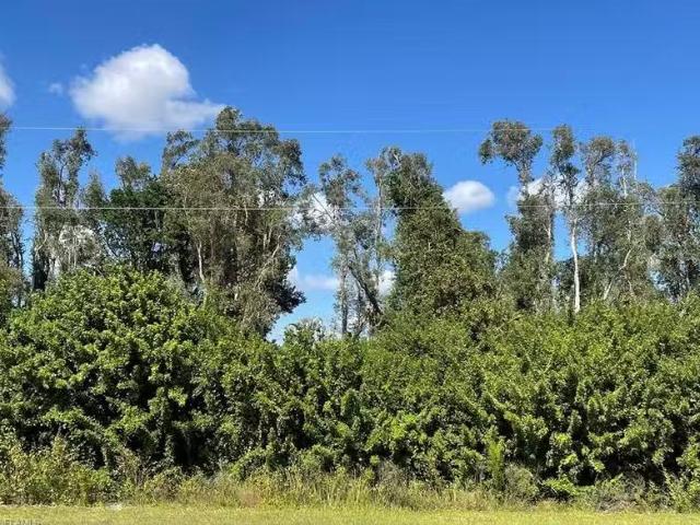 115 Theodore Vail St E, Lehigh Acres, FL 33974 MLS 223081832