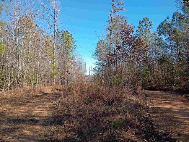 1164 Calvins Rd, Camden, SC 29020