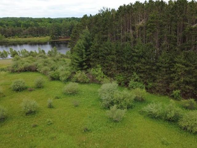 11651 Port Stewart Dr, Canadian Lakes, MI 49346