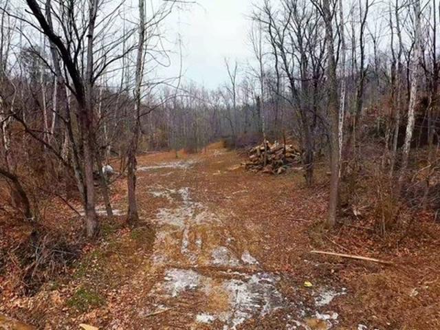 1165 Deloss Creek Rd, Pedro, OH 45638