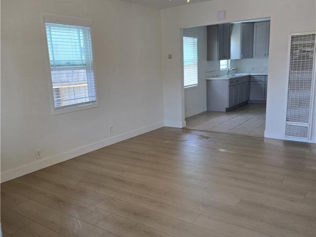 11667 Elm