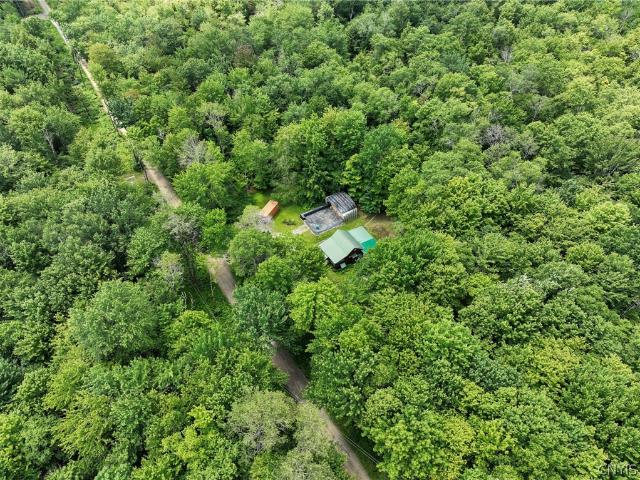 11667 Gossner Road
