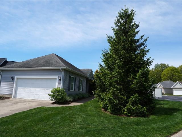 1166 Cobblestone Drive