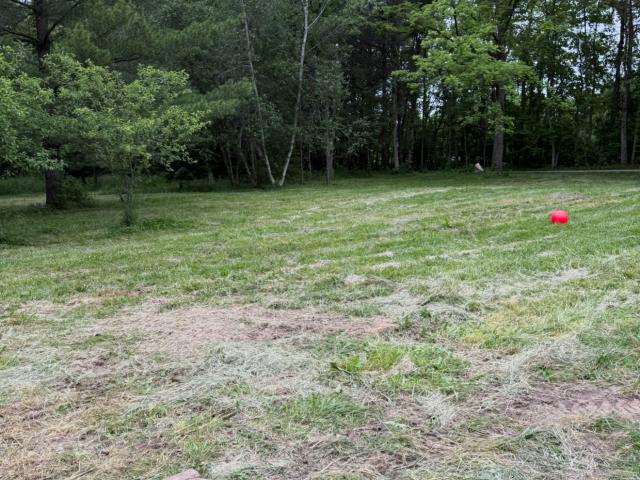 11673 Highway 42, Cloverdale, IN 46120 | MLS #22052 | Compass
