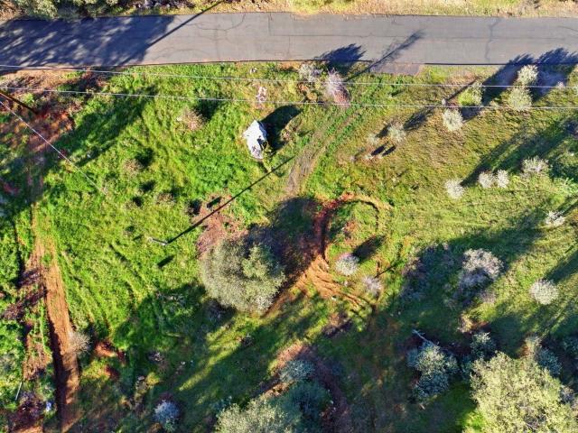 11676 Hemphill LN