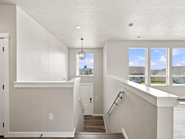 11678 W Snow Flower Dr