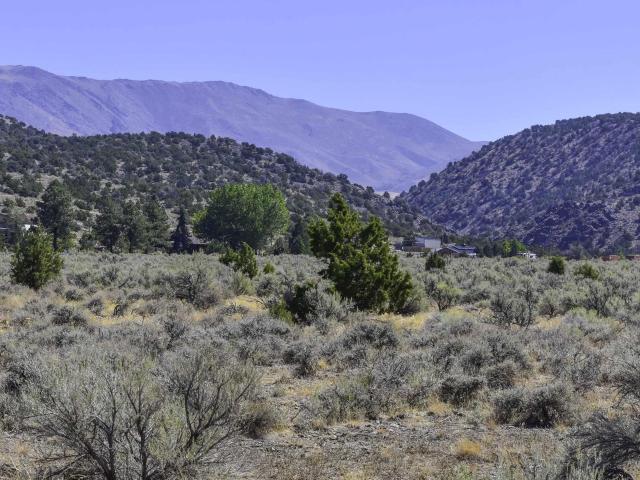 1167 Out R Way, Unit 1, Gardnerville, NV 89410 | MLS #240012