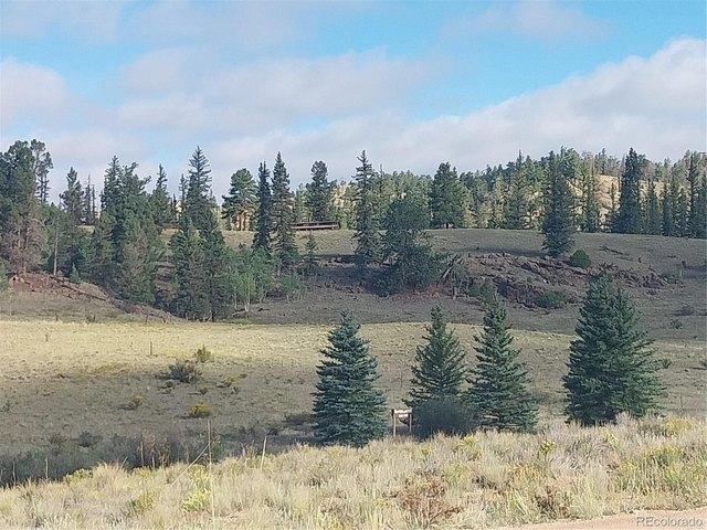 1167 Latigo Loop, Hartsel, CO 80449
