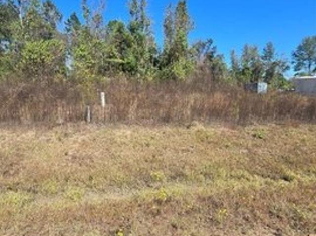 1167 Road 5894, Cleveland, TX 77327