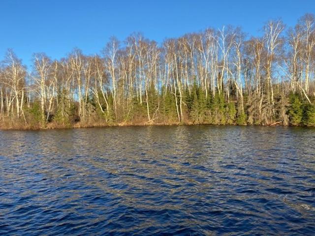 1167 S Bear Lake Rd Lot 7, Brimson, MN 55602
