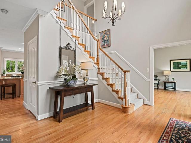 1167 Silver Beech Road