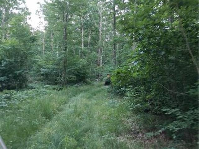 11683 A, Addison, NY 14801