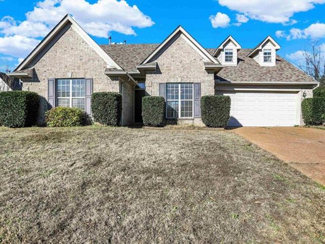 11680 Brayton Cv, Arlington, TN 38002