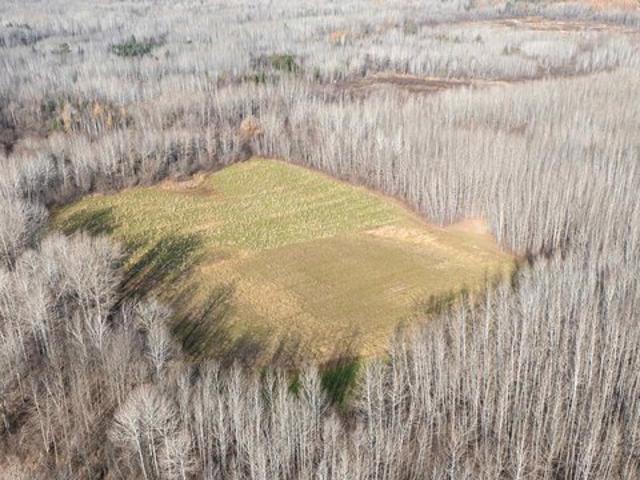 11680 County Road 59, Gheen, MN 55771