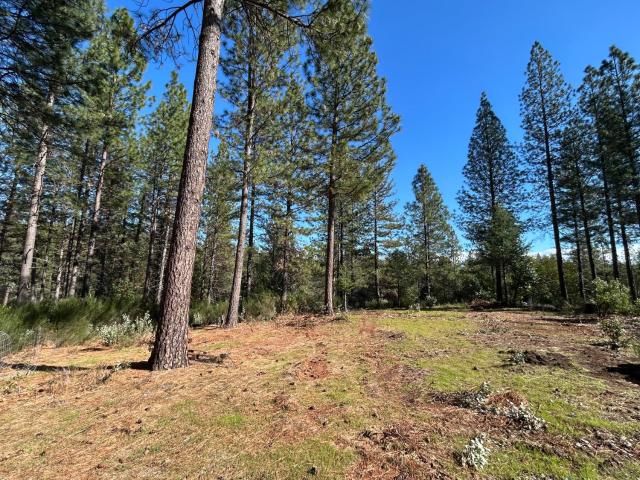11684 Serendipity Ln, Nevada City, CA 95959 | MLS #226018