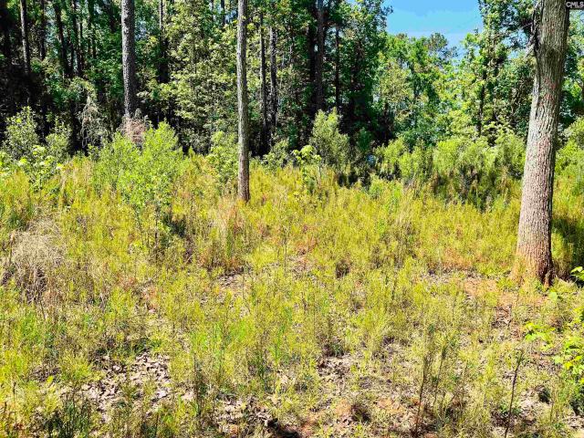1168 Lake Drive Lot 297/298